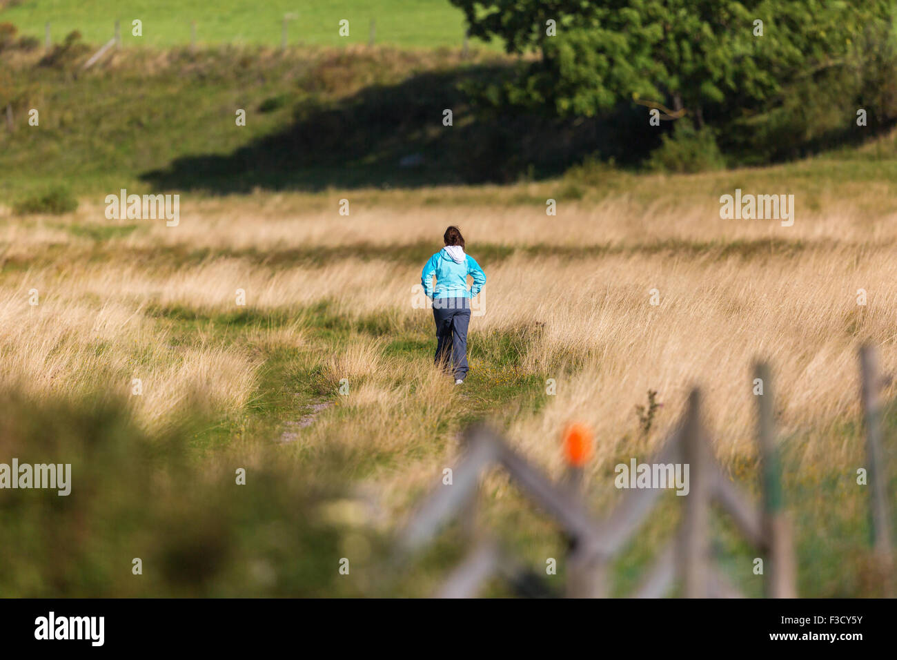 Woman walking on the path in the meadow Stock Photo - Alamy