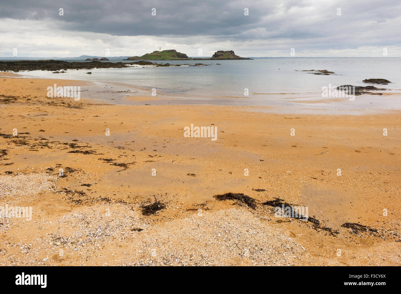 Yellowcraigs beach looking out to Fidra island and lighthouse, East ...