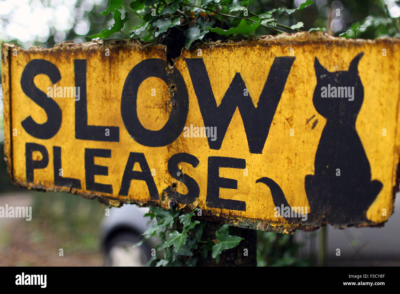 Slow sign with Cat illustration Stock Photo - Alamy
