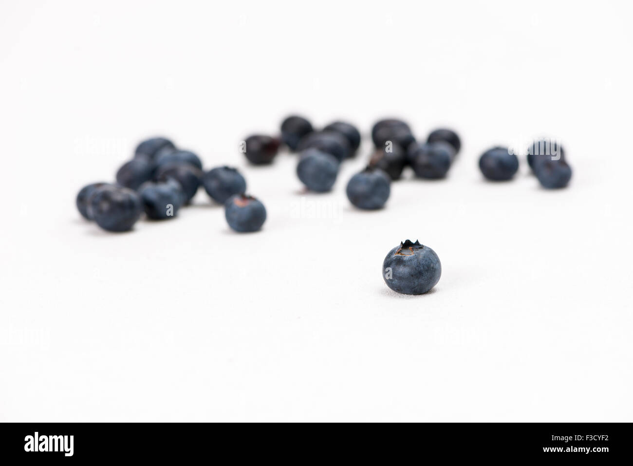 Some blue huckleberries (Vaccinium myrtillus), displayed on a white ...