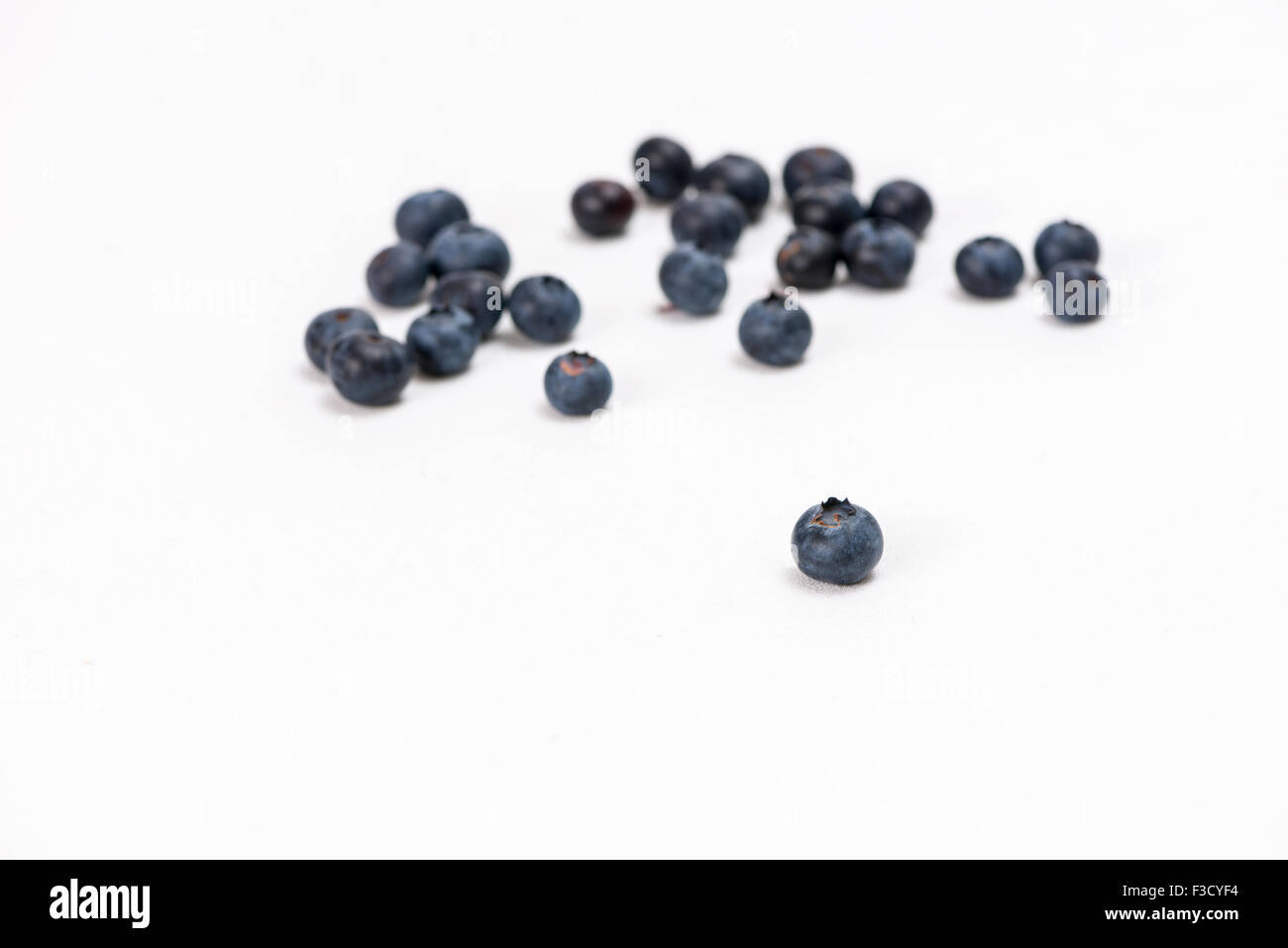 Some blue huckleberries (Vaccinium myrtillus), displayed on white table ...