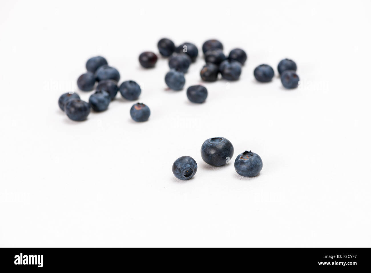 Some blue huckleberries (Vaccinium myrtillus), displayed on white table ...