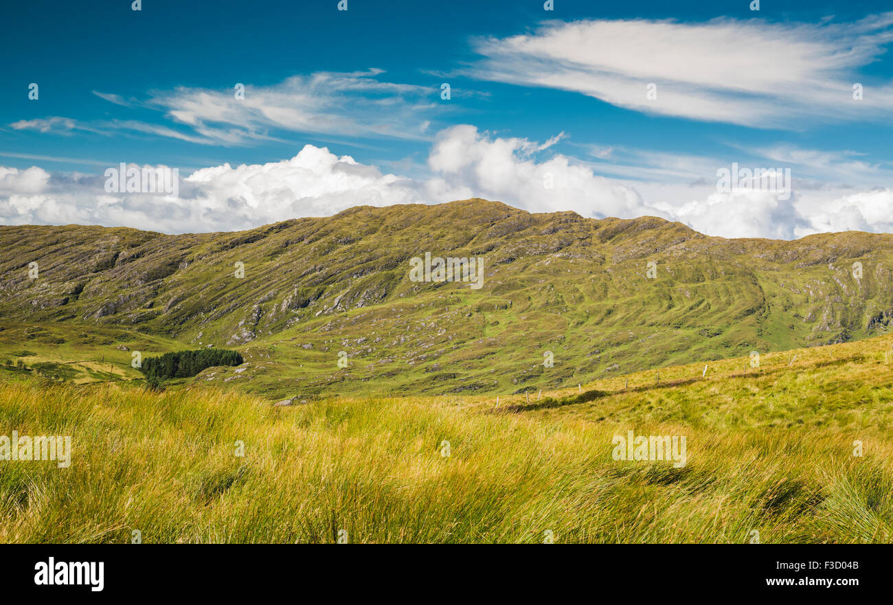 Structures visible near them hi-res stock photography and images - Alamy