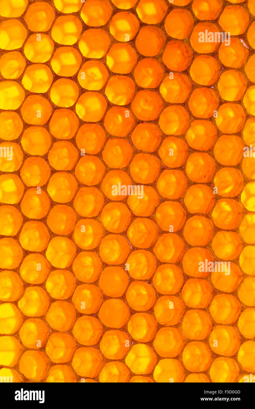 Abstract honeycomb pattern background hi-res stock photography and ...