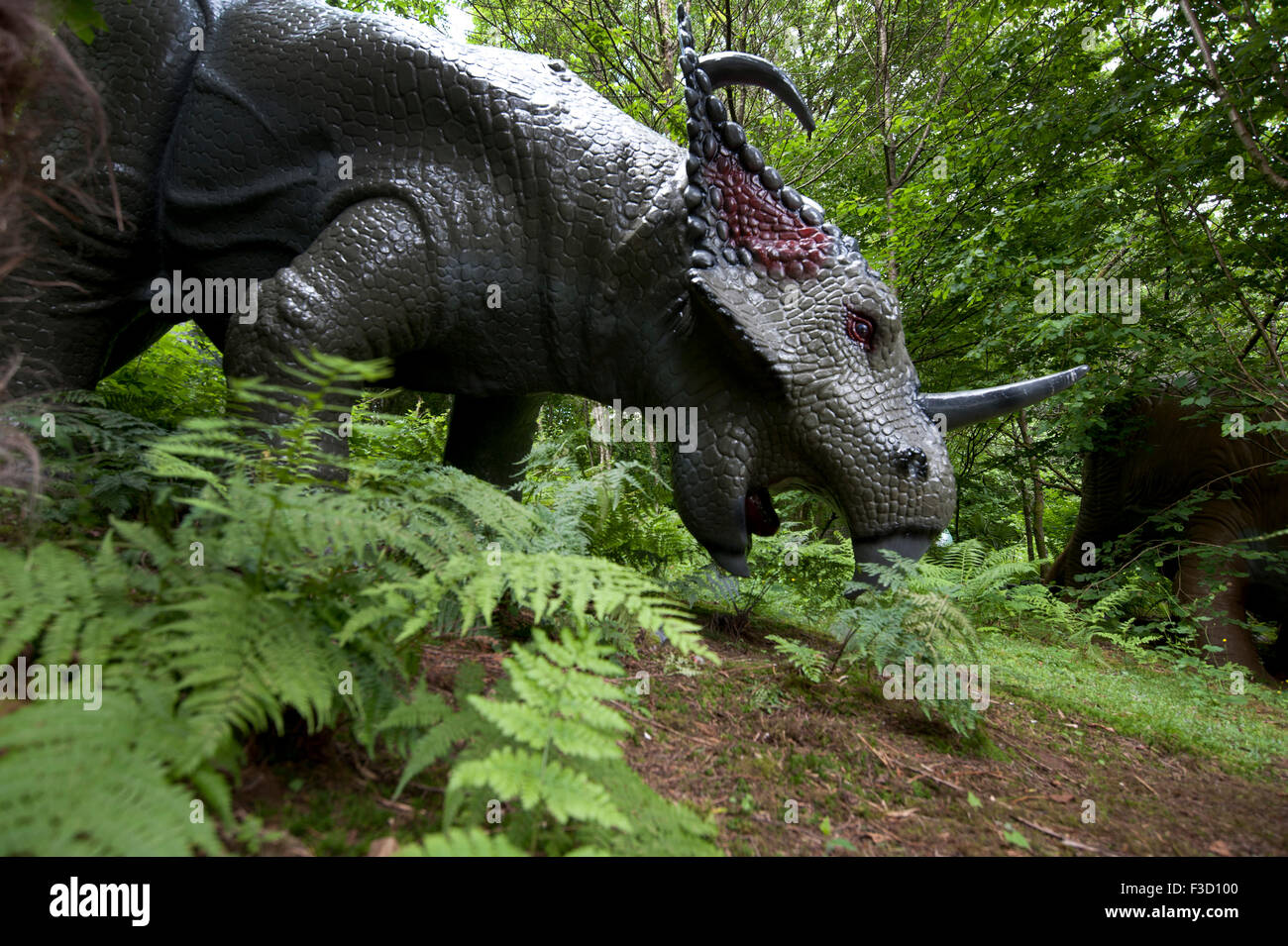 Dan Yr Ogof National Show caves of Wales, in the Brecon Beacons ...