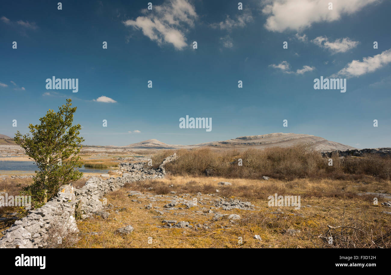 Mullaghmore the burren county clare ireland High Resolution Stock ...
