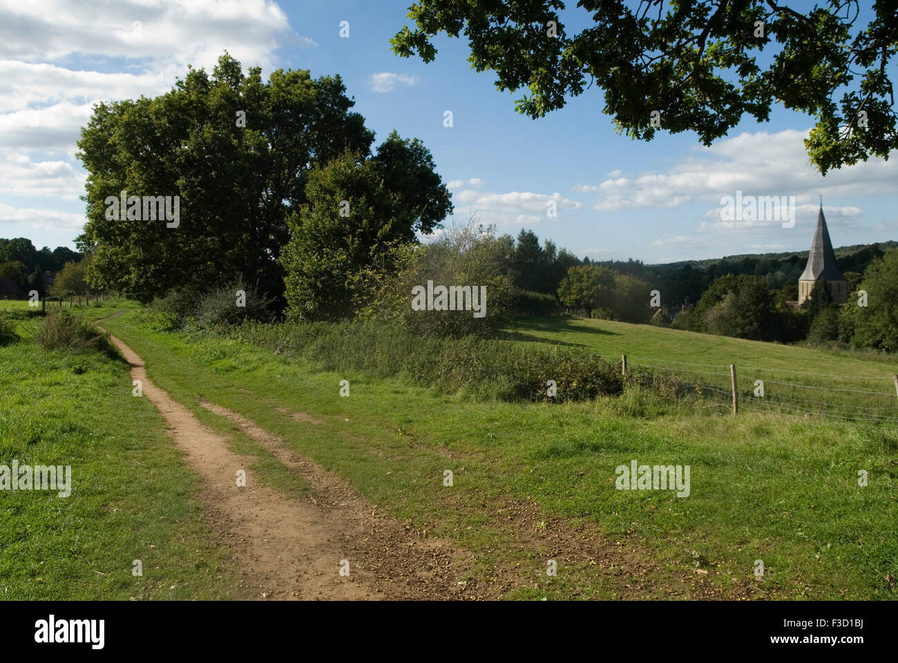 Ancient pathway right of way between the village of Shere and Gomshall ...