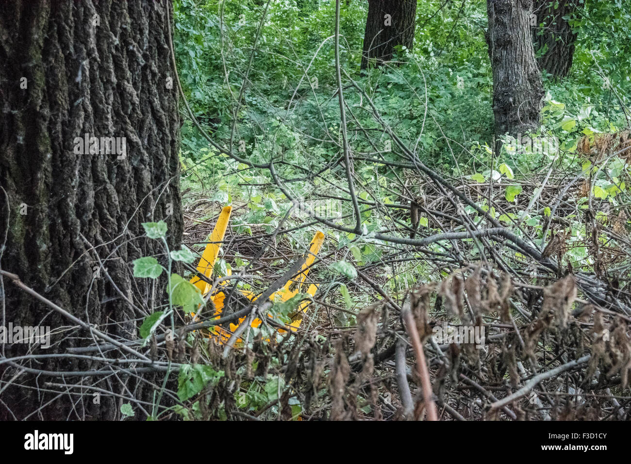Plastic pollution forest hi-res stock photography and images - Alamy