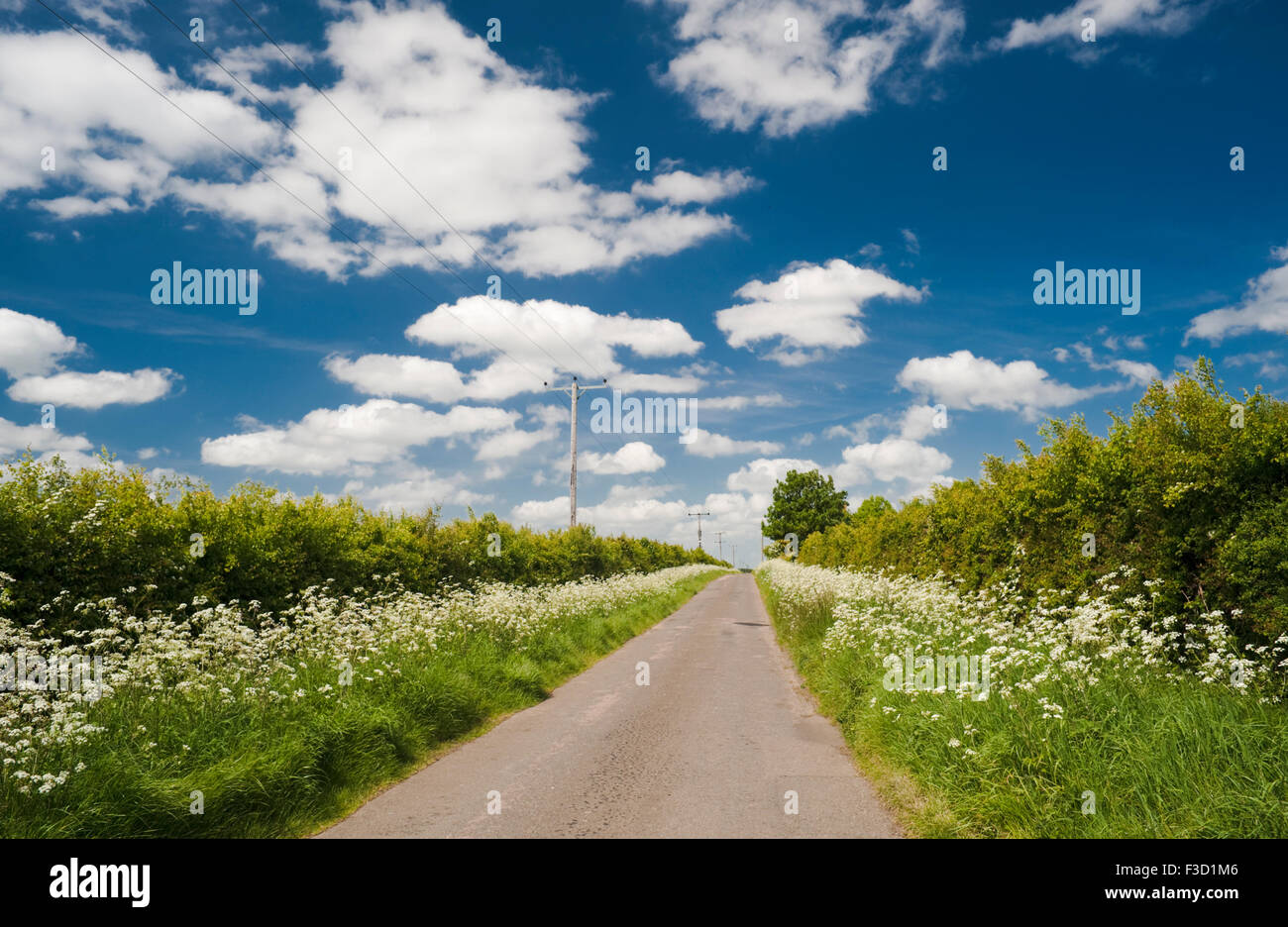 Country lane in springtime near Lutton, Cambridgeshire, England Stock ...