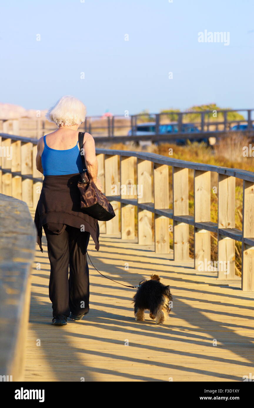 Senior woman walking dog hi-res stock photography and images - Alamy