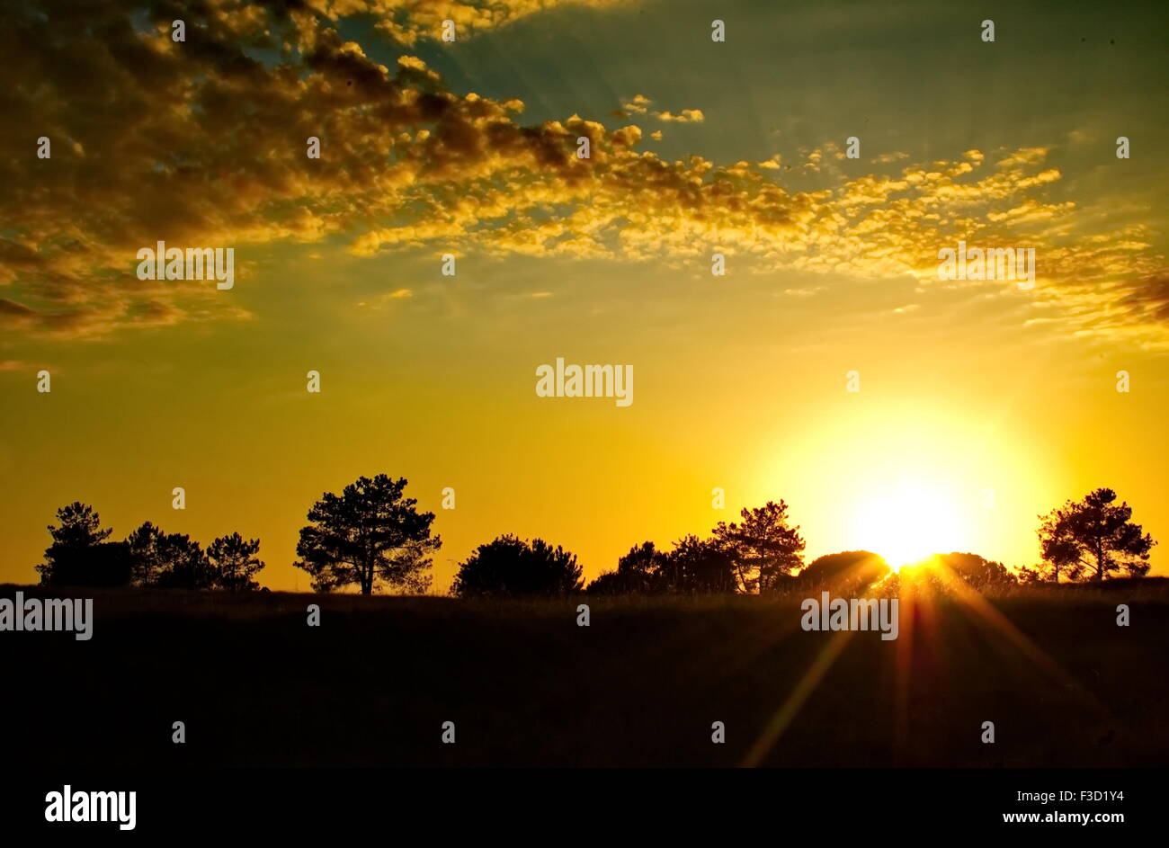 Cloudy fall sky and trees silhouette by sunset Stock Photo - Alamy