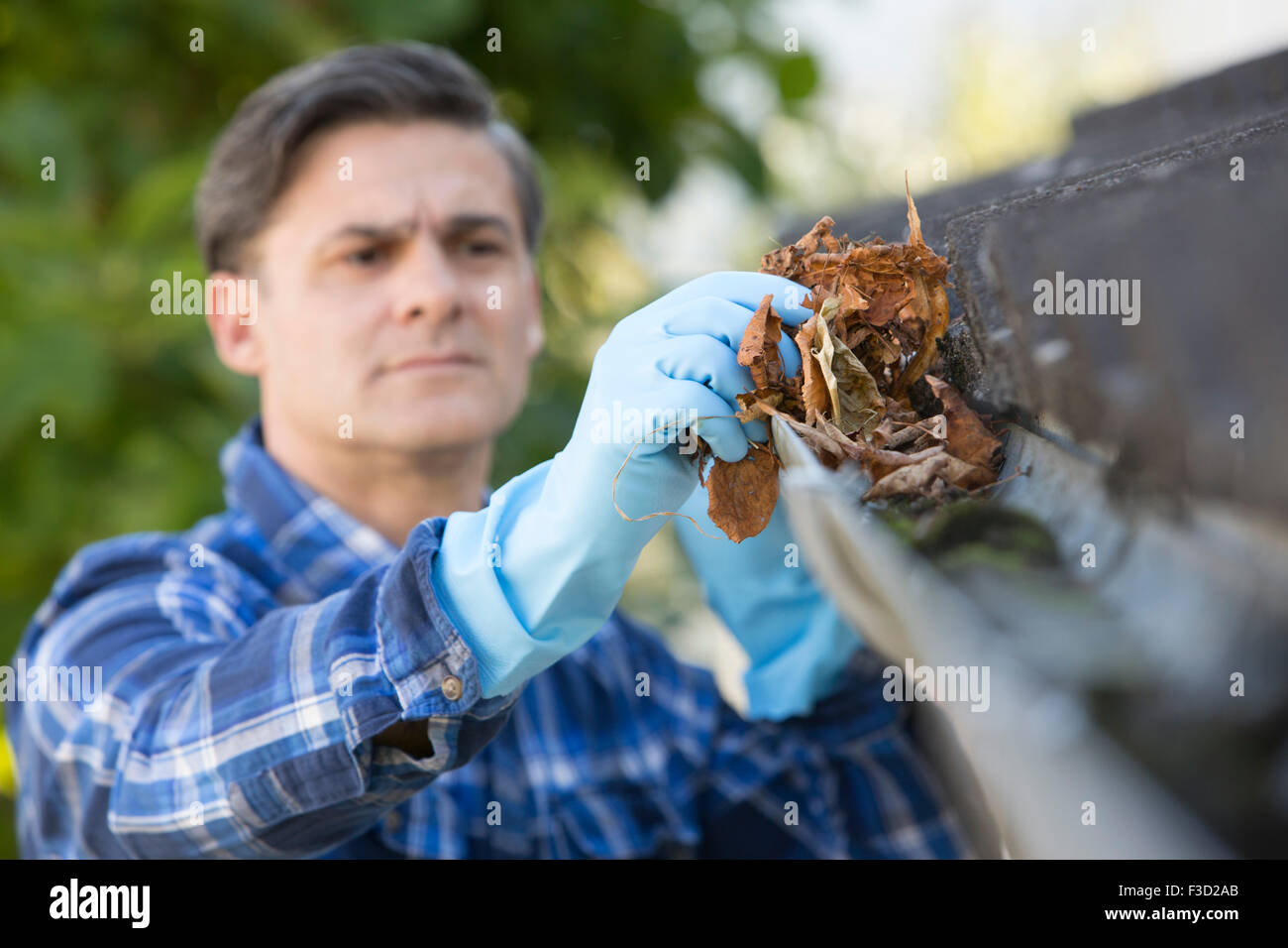 Clearing house hi-res stock photography and images - Alamy