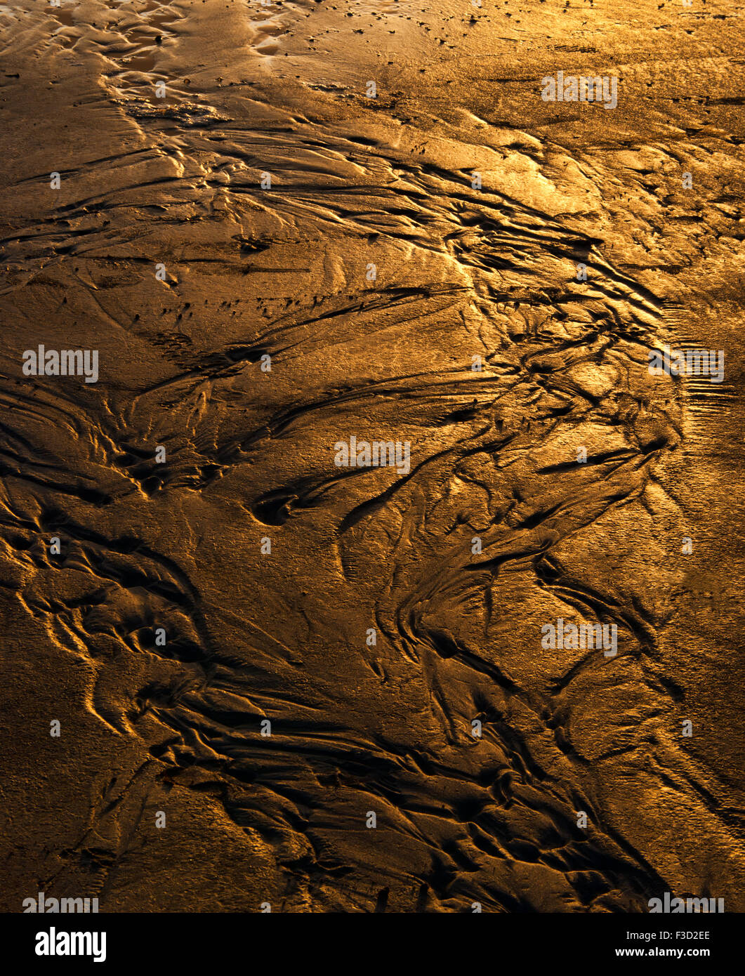 Inner golden water hi-res stock photography and images - Alamy