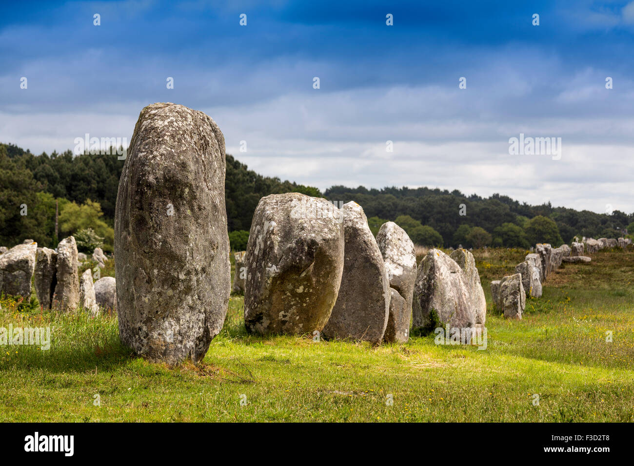 Standing Stones In Brittany
