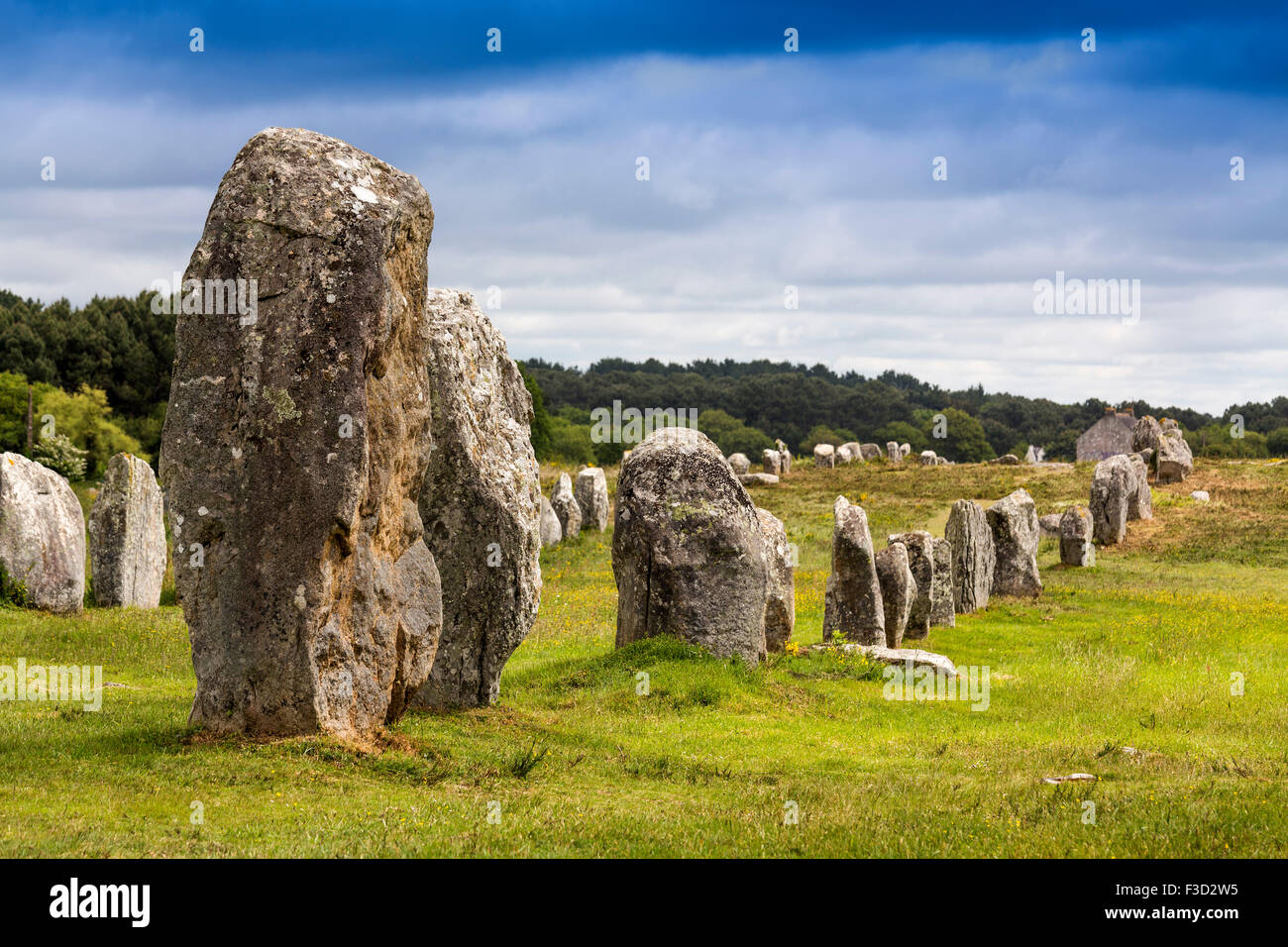 Alignements Menec megalithic Standing Stones Neolithic Carnac Morbihan ...