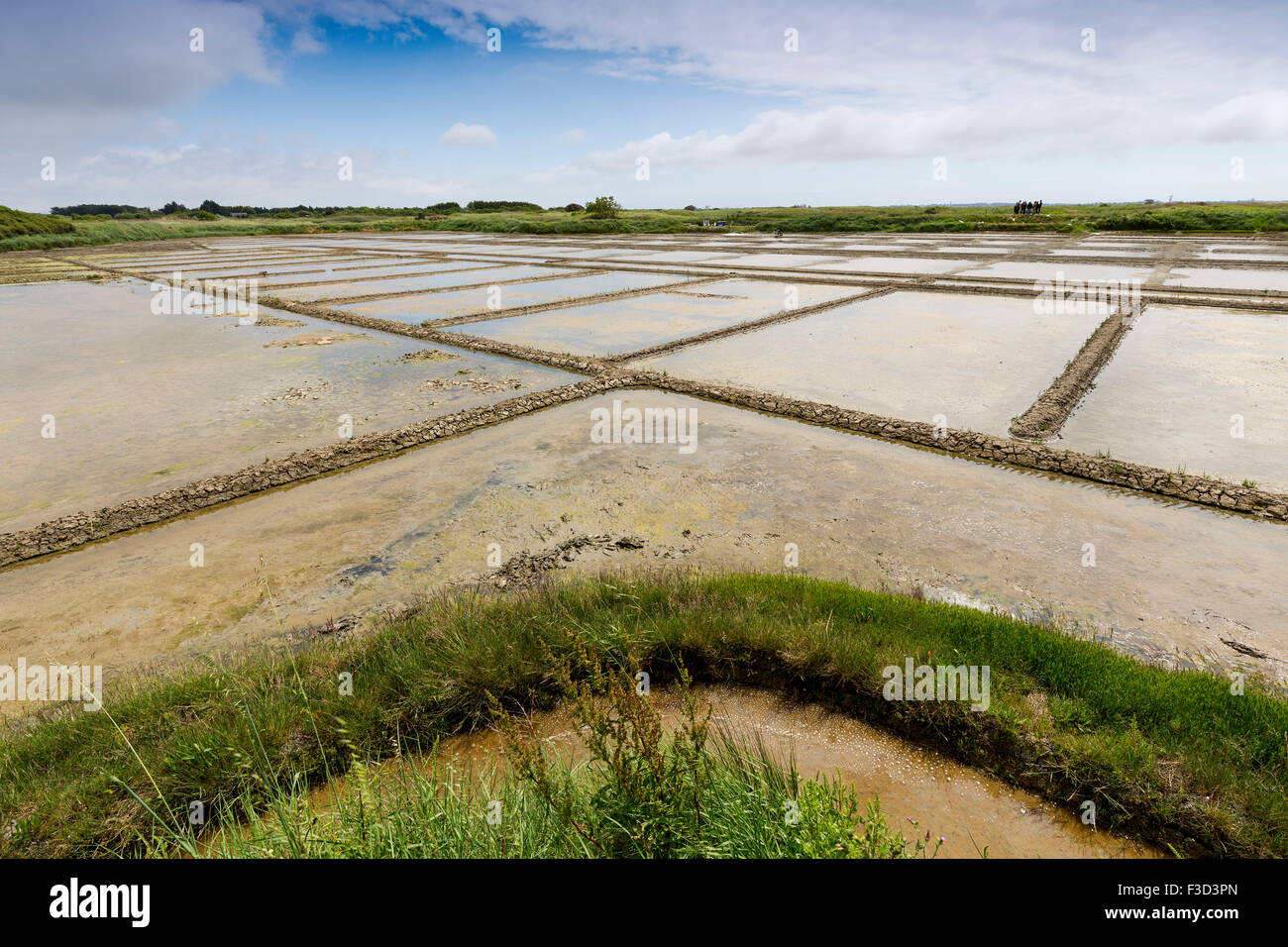 Salt marshes france hi-res stock photography and images - Alamy