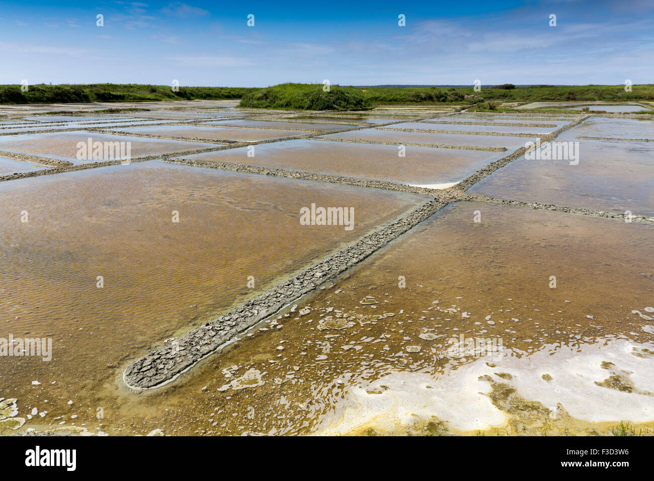Guerande salt marshes france hi-res stock photography and images - Alamy