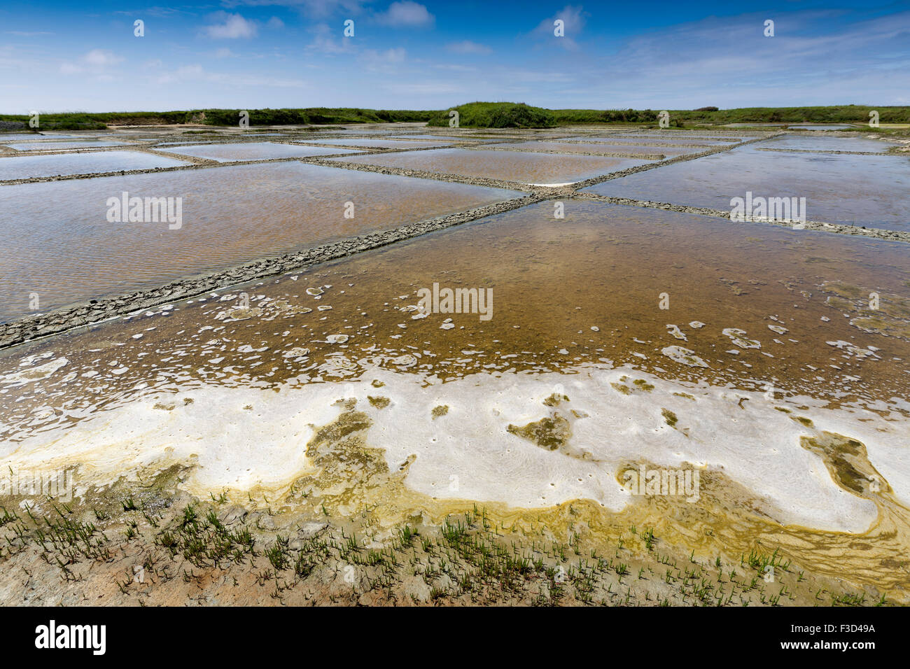 Marais salants hi-res stock photography and images - Alamy