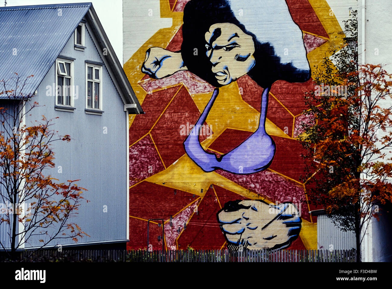 mural in Reykjavik. Iceland Stock Photo - Alamy