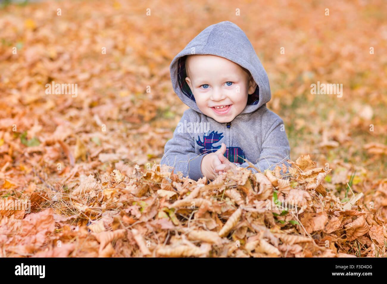 Cute baby in autumn leaves. First autumn Stock Photo - Alamy