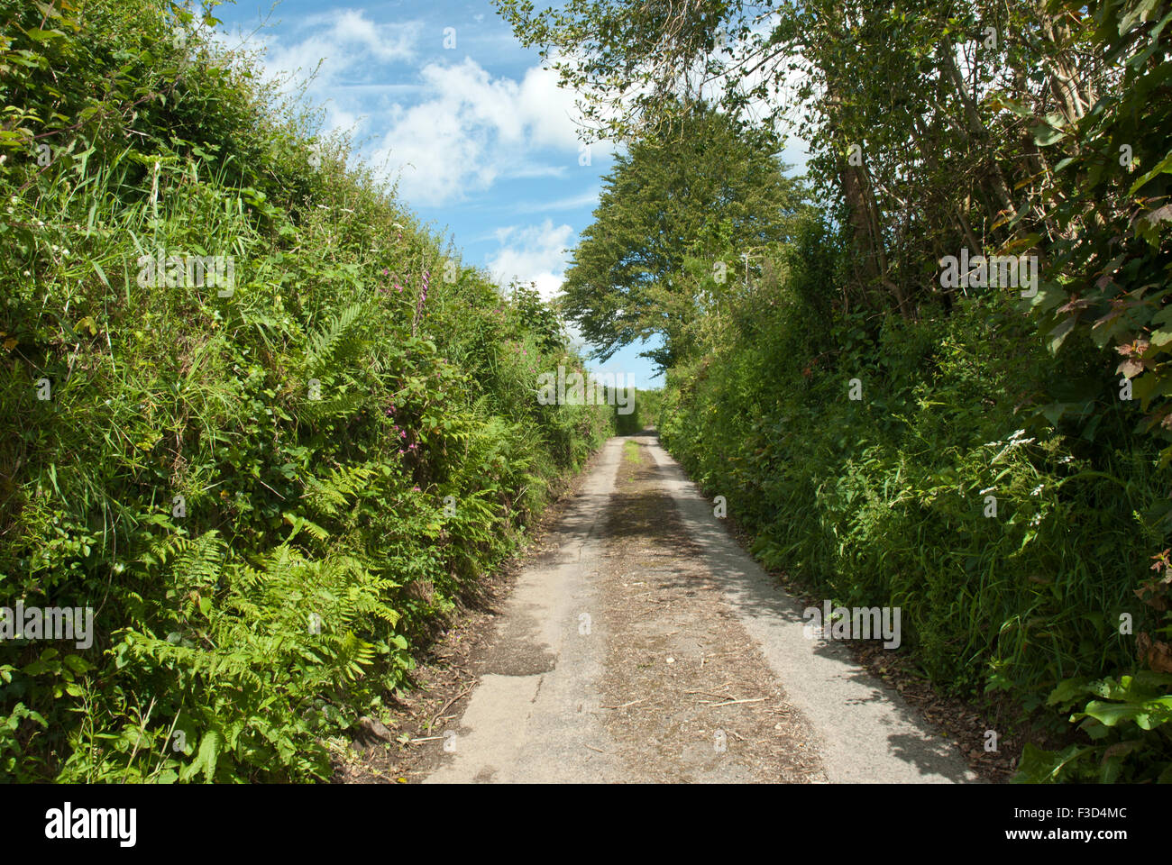 Cornish hedges hi-res stock photography and images - Alamy