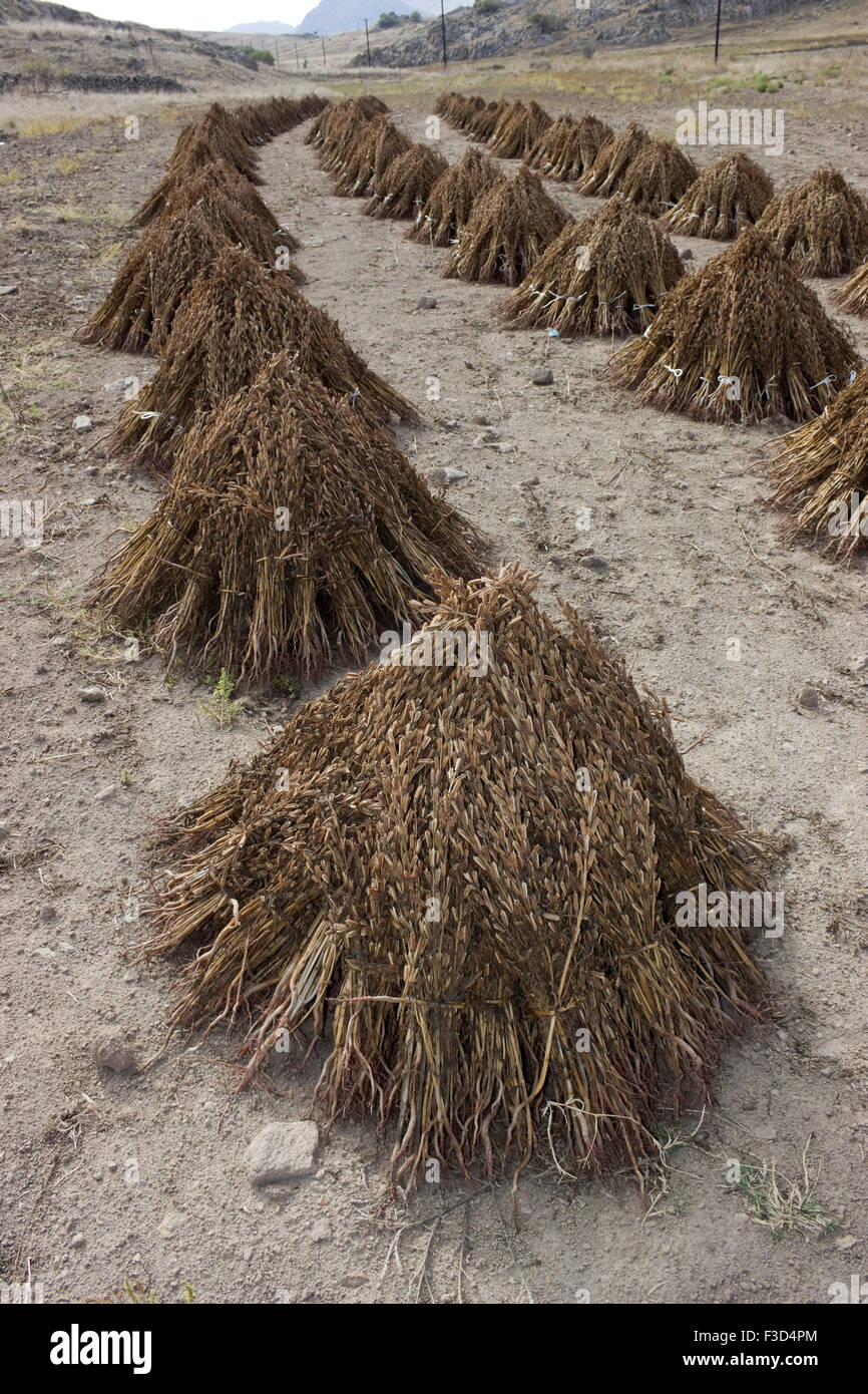 Triangular mounds hi-res stock photography and images - Alamy