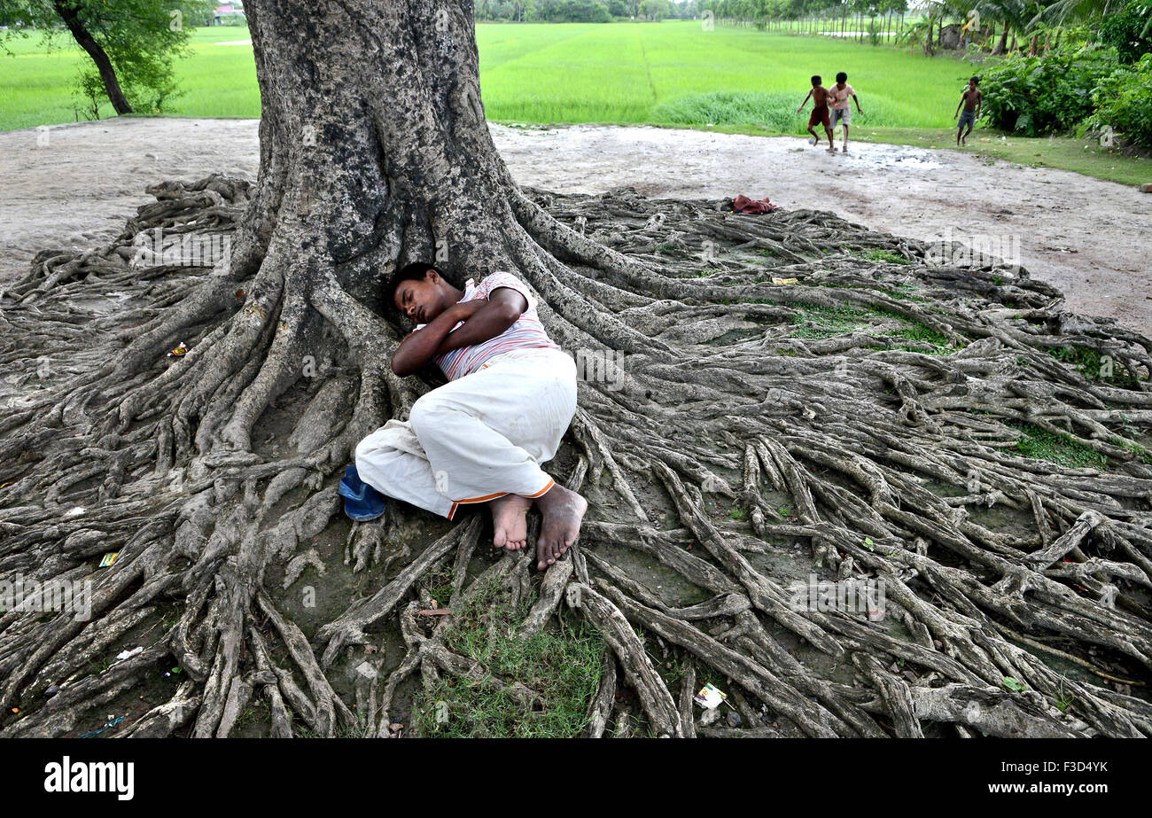 Rest under the tree Stock Photo - Alamy