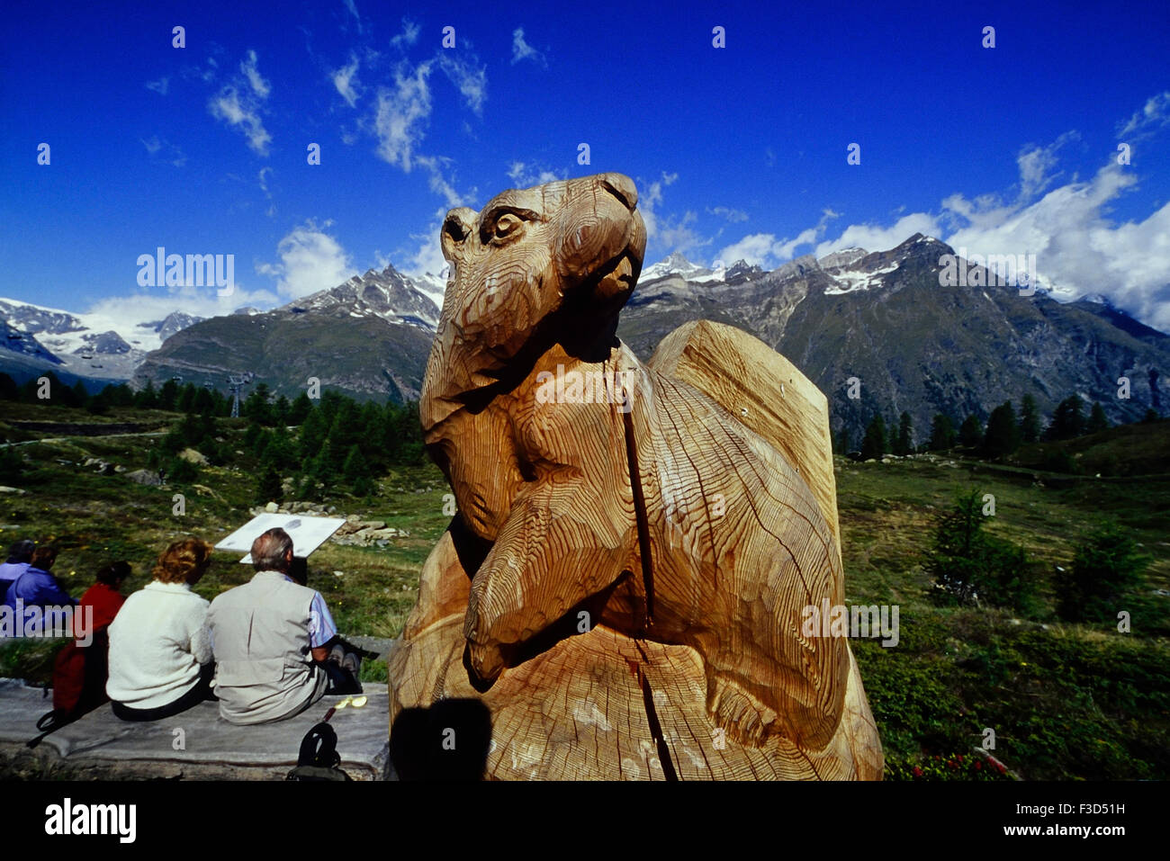 Marmots switzerland hi-res stock photography and images - Alamy