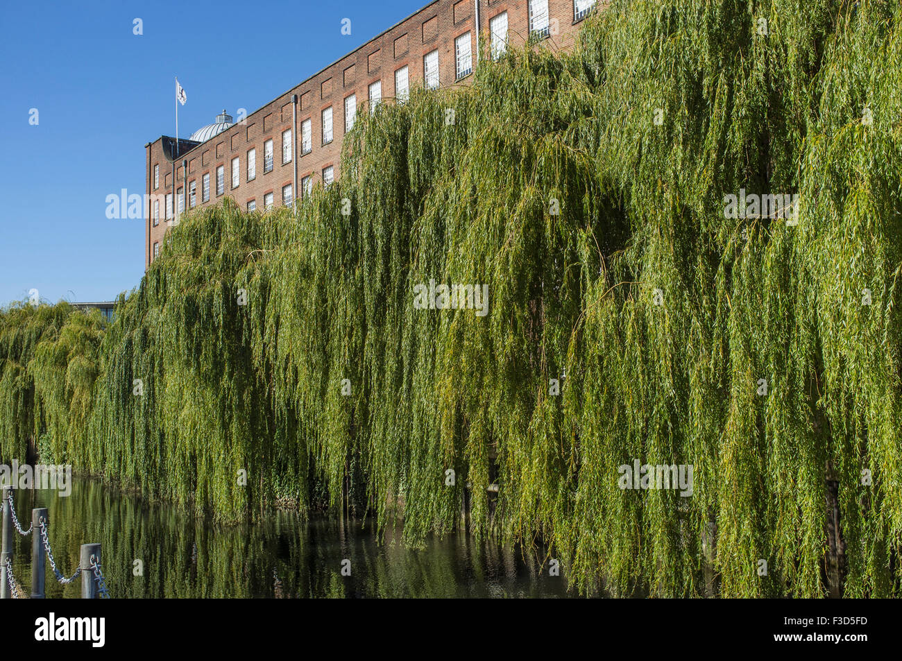 Norwich Trees High Resolution Stock Photography and Images - Alamy