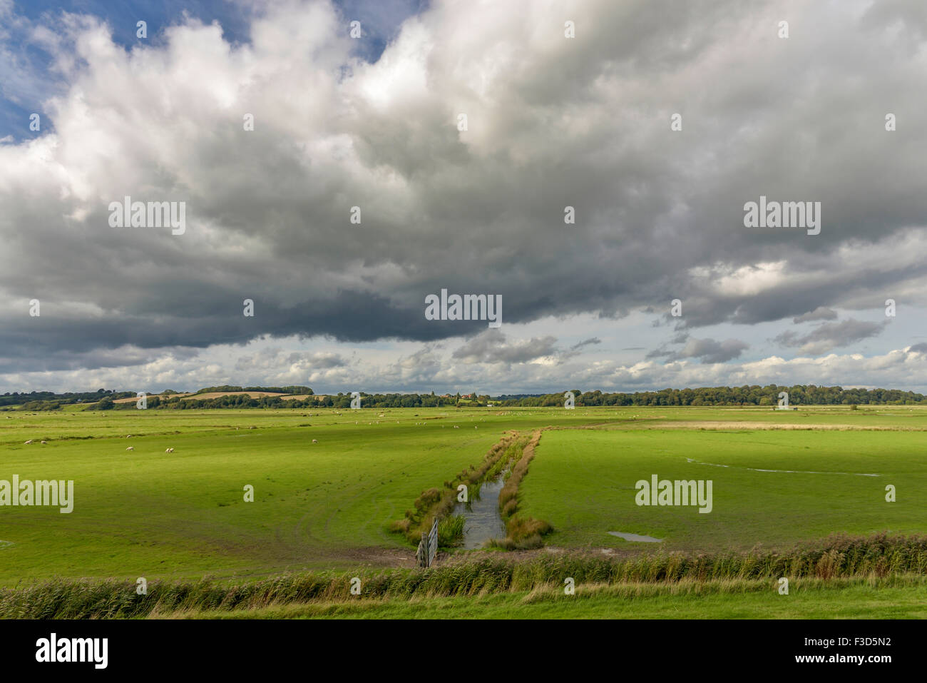 Pett level sussex hi-res stock photography and images - Alamy