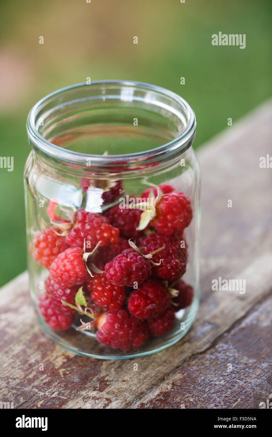 Picking glass hi-res stock photography and images - Alamy