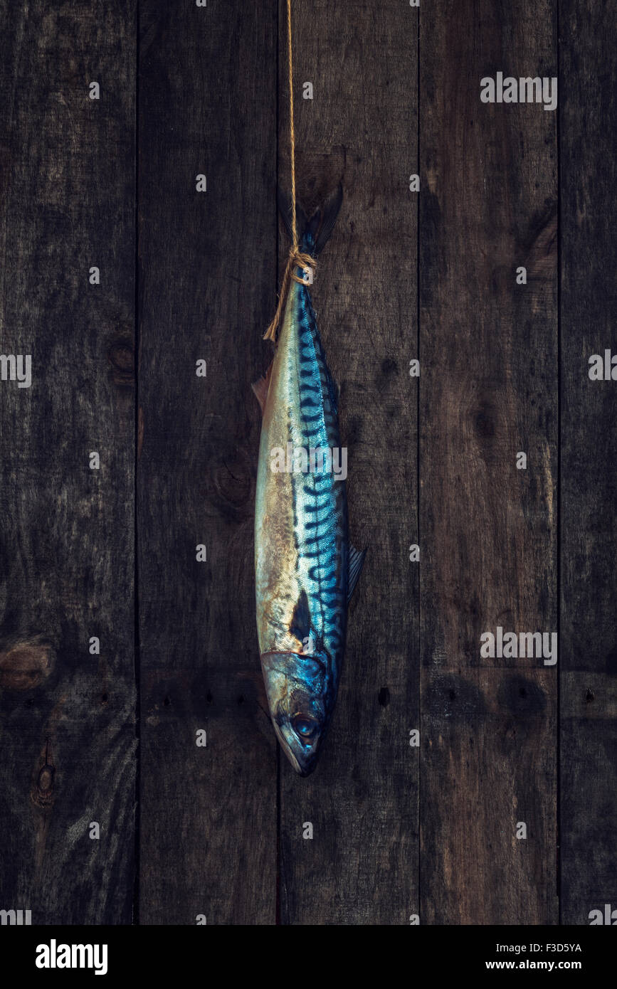 Mackerel scales hi-res stock photography and images - Alamy