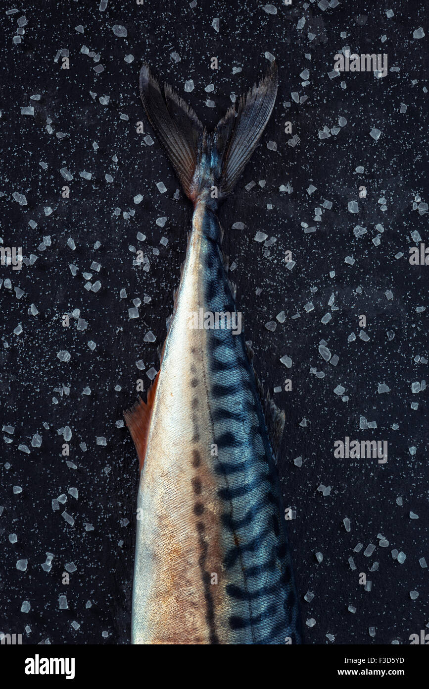 Line caught mackerel hi-res stock photography and images - Alamy