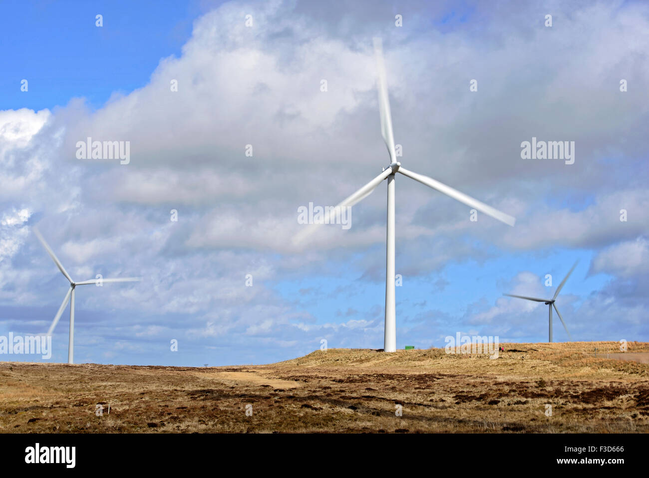 Wind turbines at Whitelee Windfarm, UK's largest wind farm Stock Photo ...