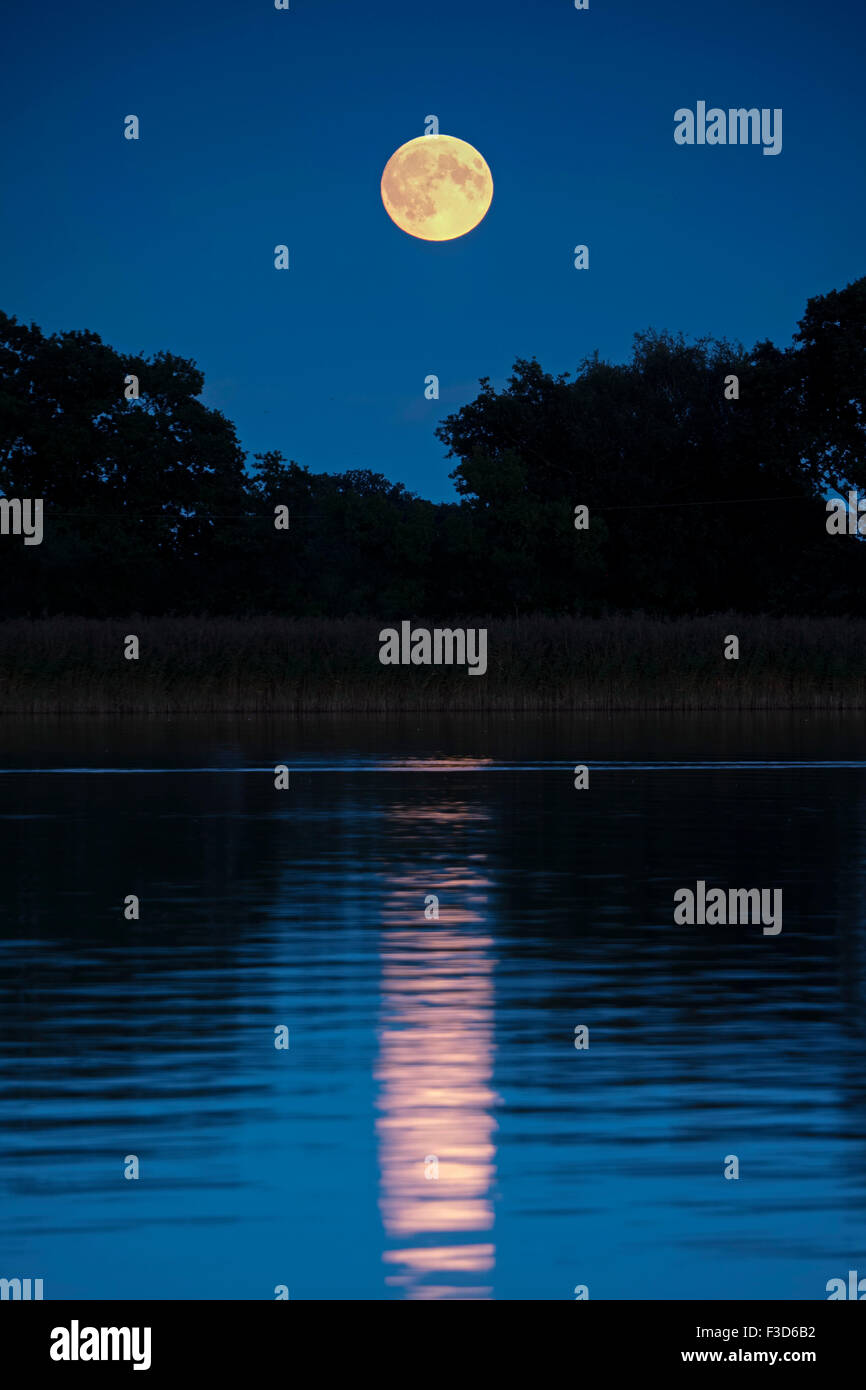 Full rising hi-res stock photography and images - Alamy