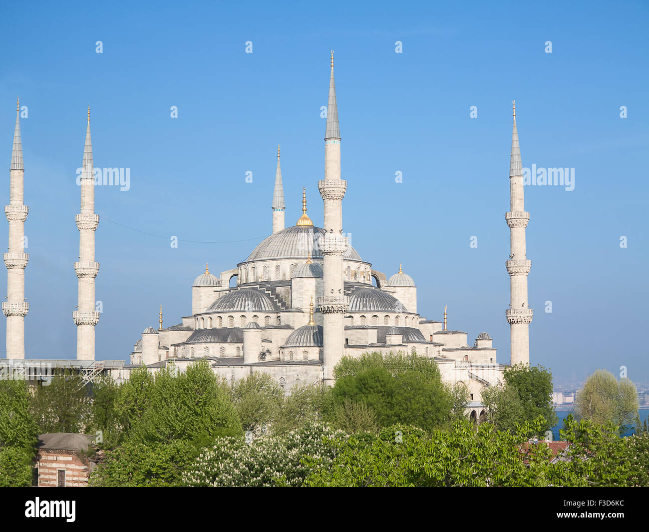 Famous "Blue mosque" in Istanbul, Turkey Stock Photo - Alamy