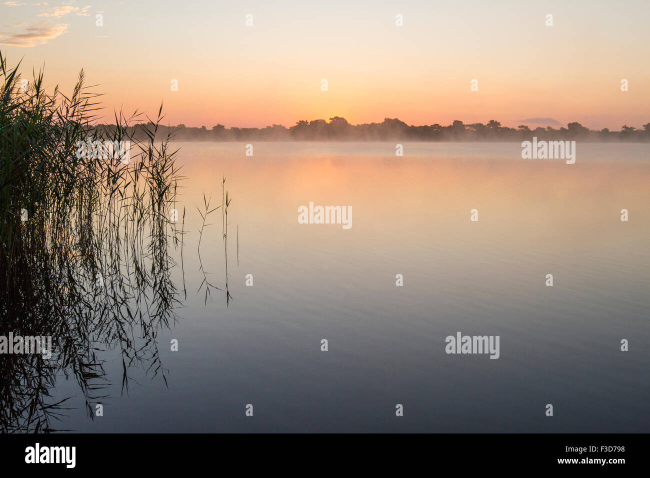 water mist on calm peaceful water at dawn Stock Photo - Alamy