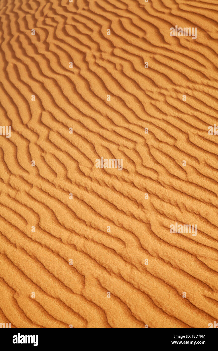 Red sand "Arabian desert" near Dubai, United Arab Emirates Stock Photo ...