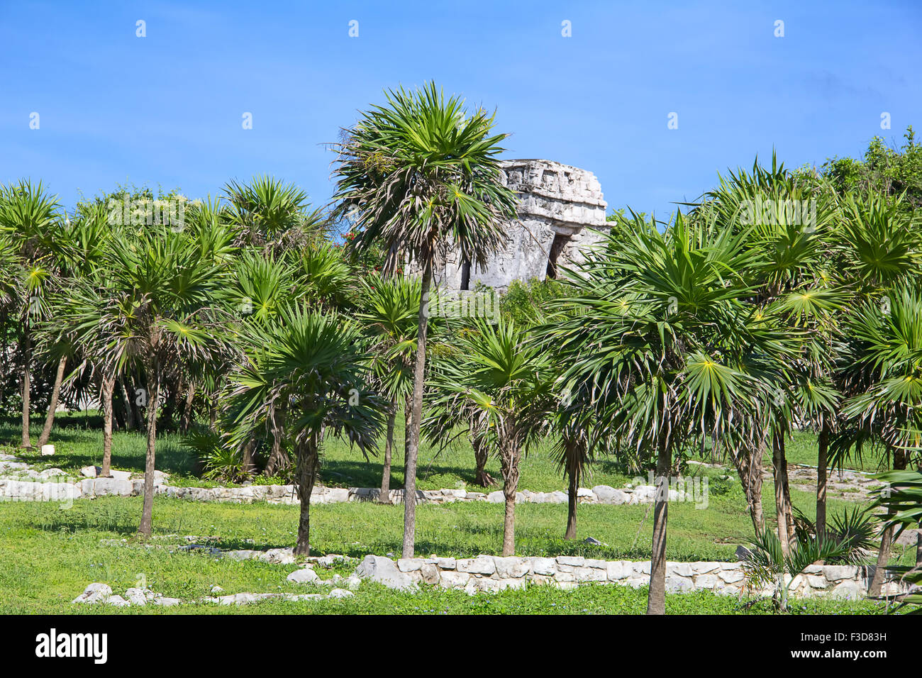Ruins of the Mayan fortress and temple near Tulum, Mexico Stock Photo ...