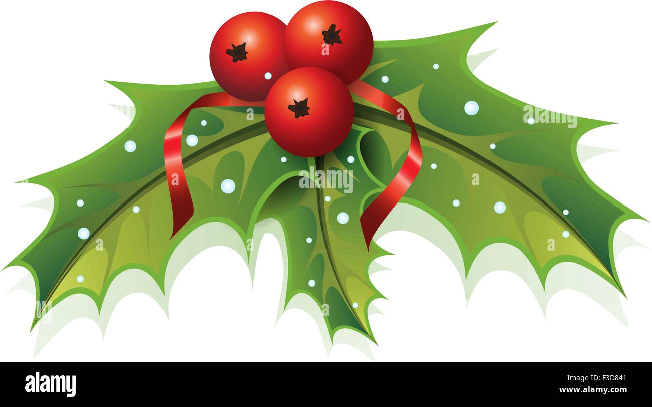 Holly vector vectors hi-res stock photography and images - Alamy
