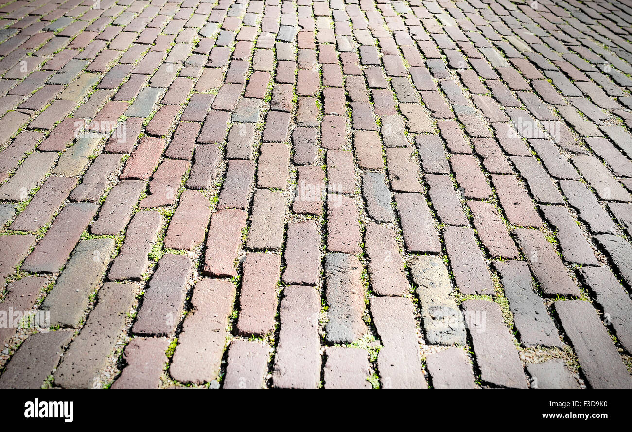 Grass pavers hi-res stock photography and images - Alamy