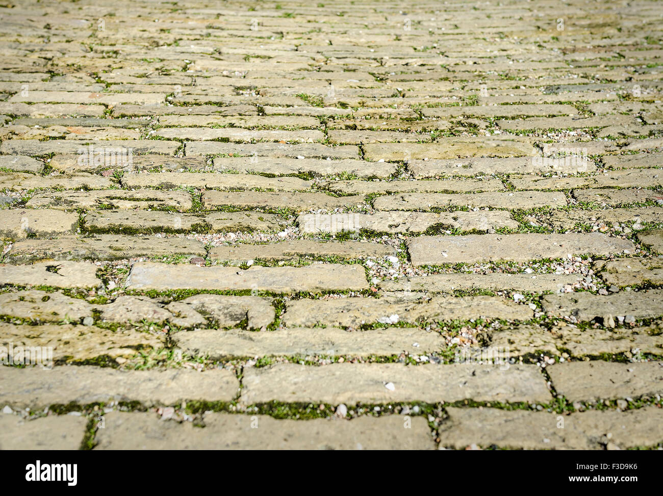 City pavers with grass Stock Photo - Alamy