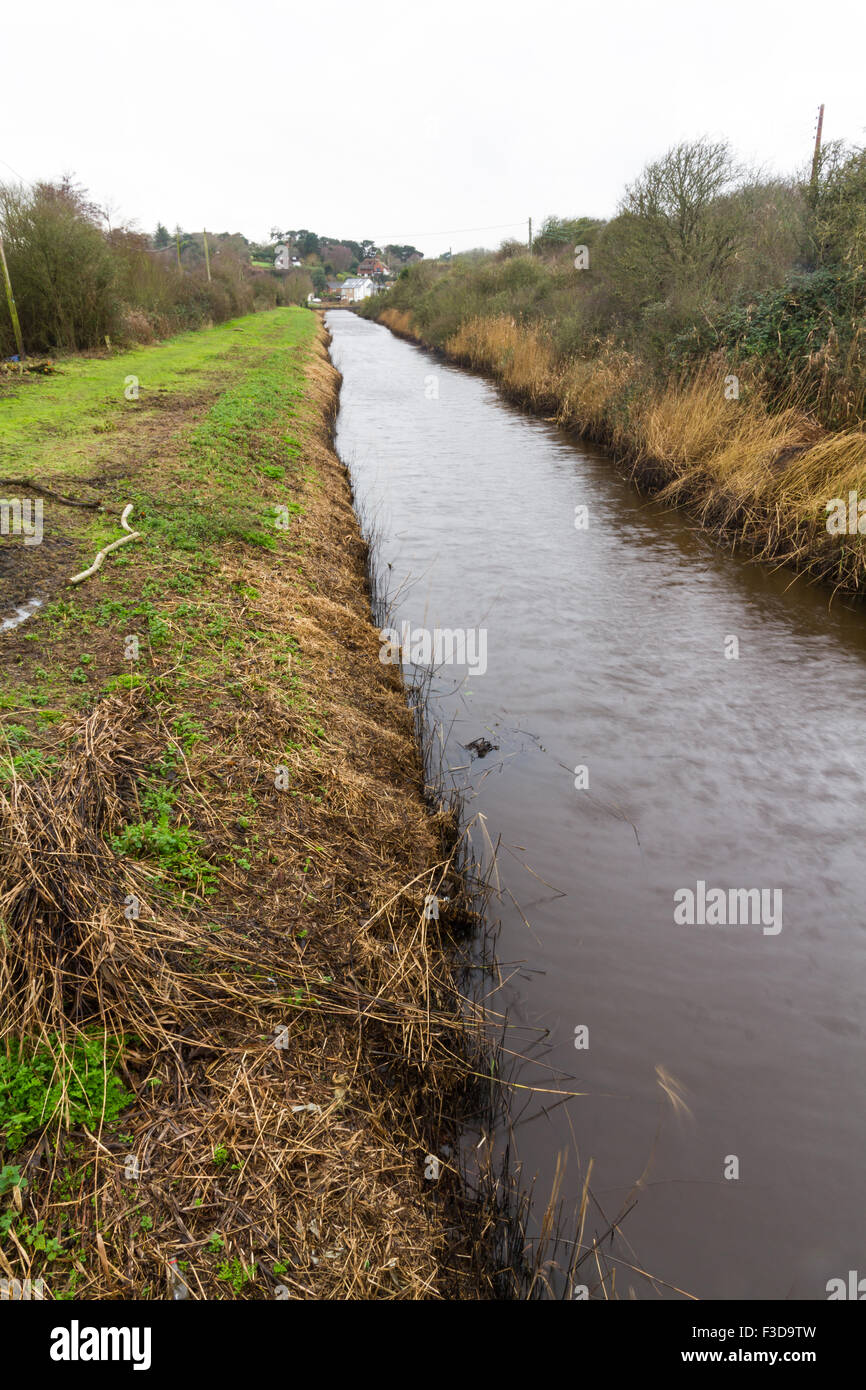 Dimsdale sewer is a drainage channel near Pitt Level and Winchelsea ...