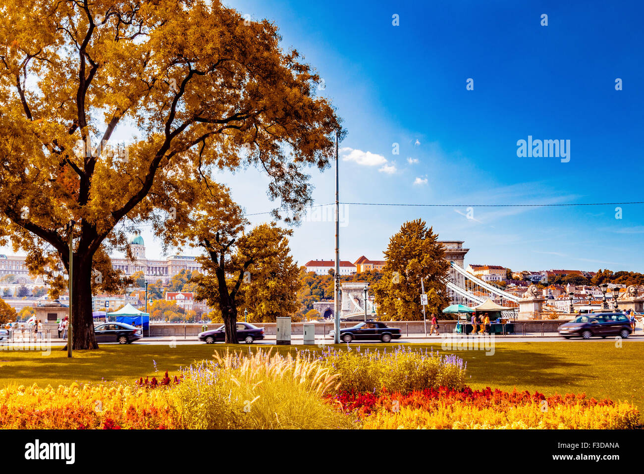 Flower bed in Budapest: red, purple, lilac, yellow, orange with the ...