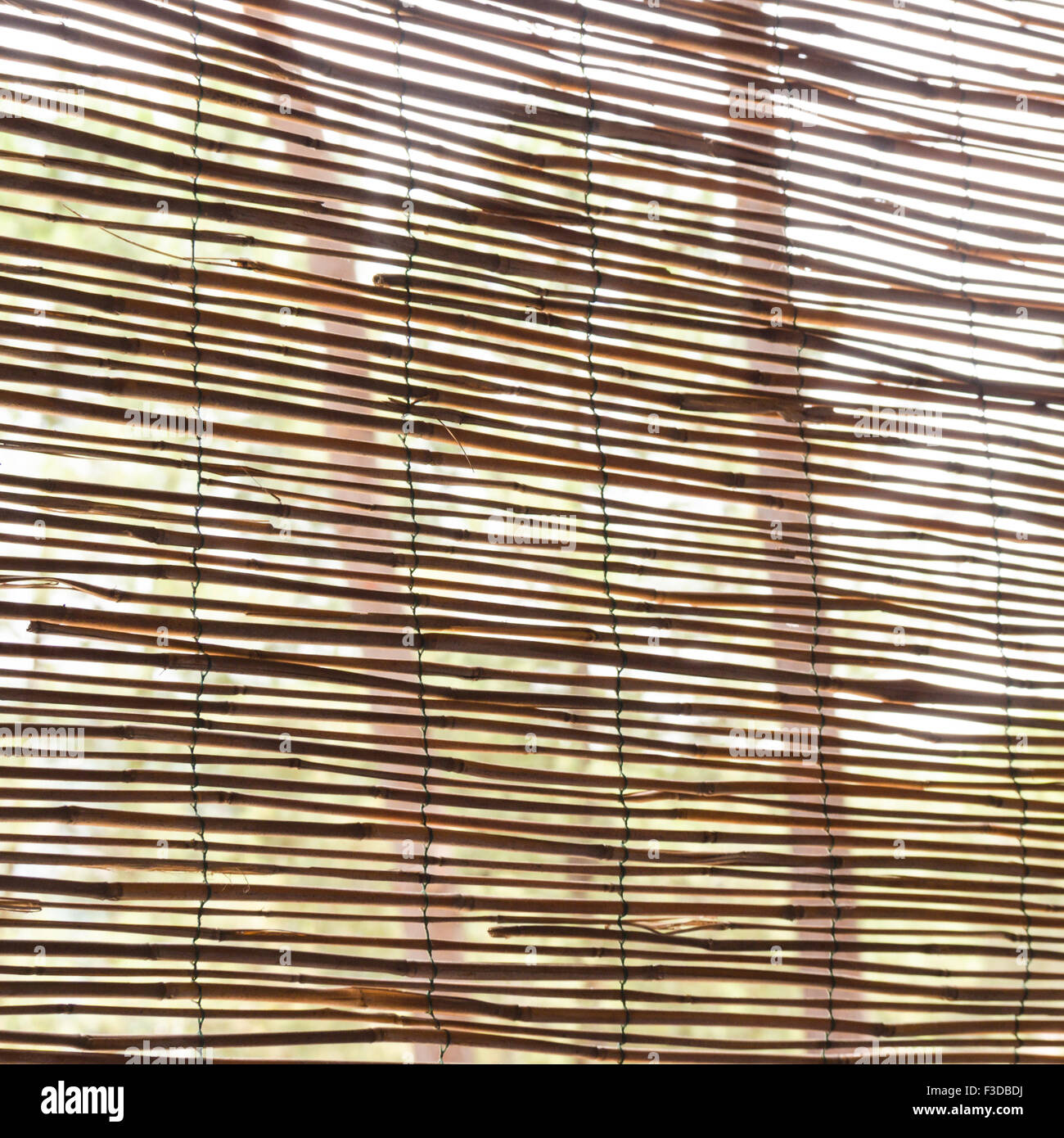 Reed curtains hi-res stock photography and images - Alamy