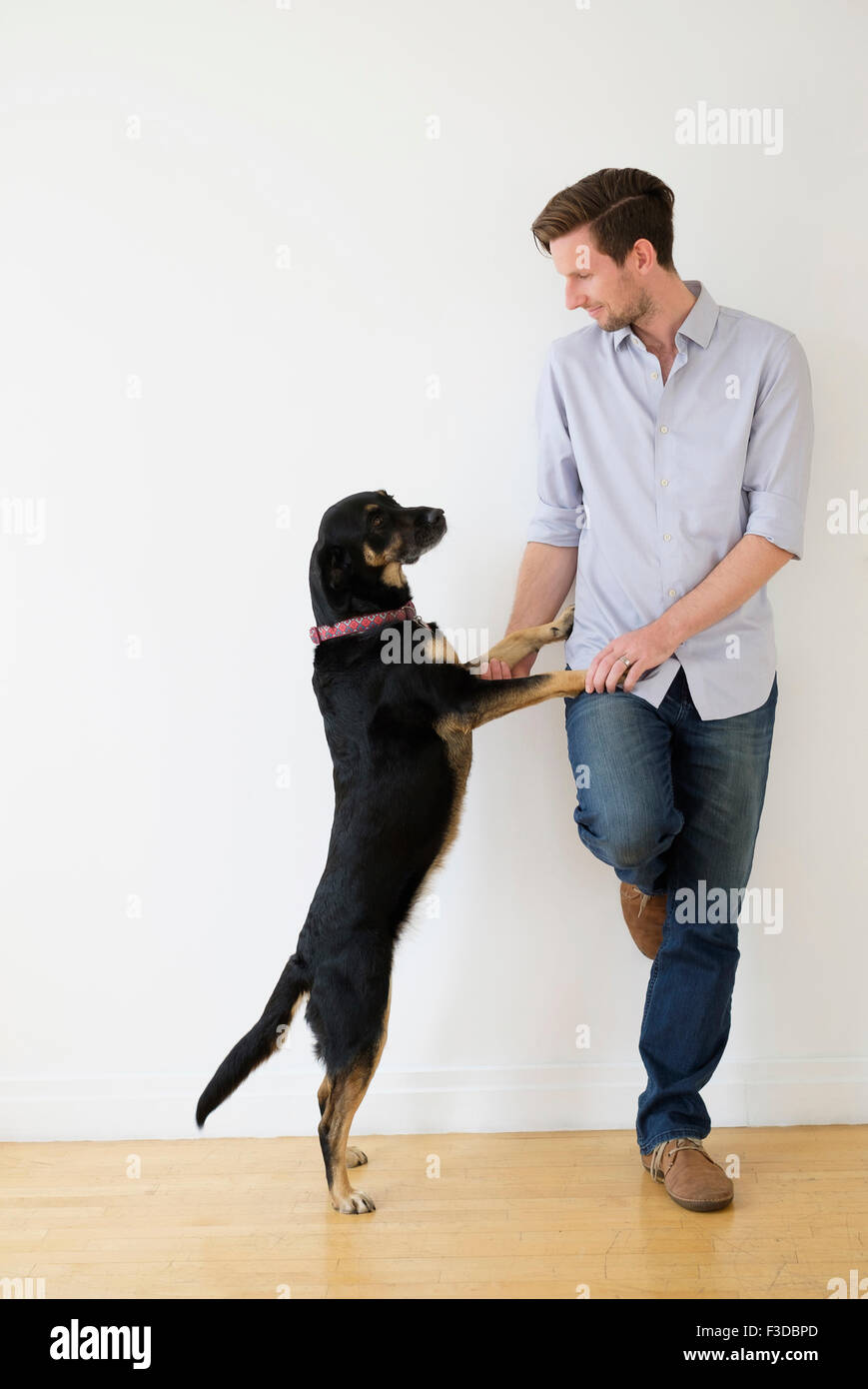 Man playing with dog Stock Photo - Alamy