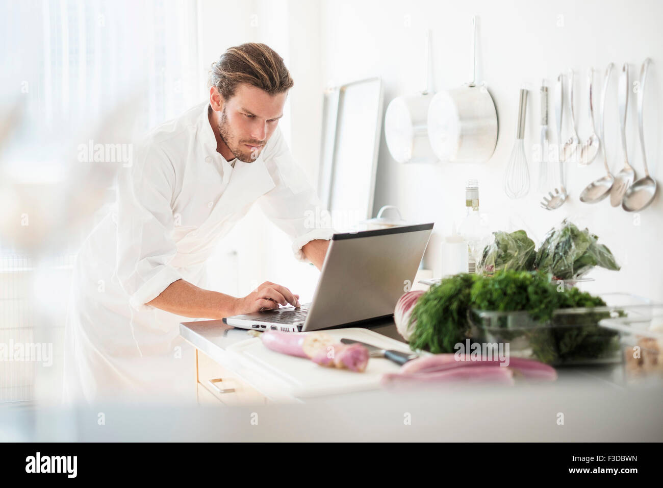 Professional chef in commercial kitchen hi-res stock photography and ...