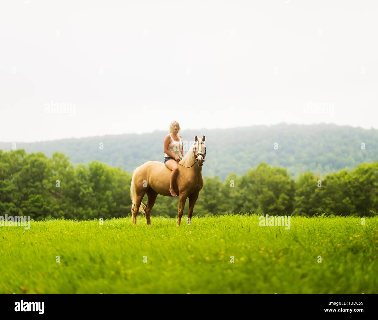 Woman horseback riding in countryside Stock Photo - Alamy