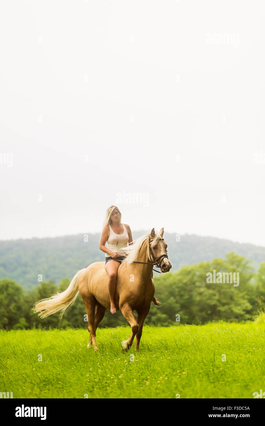 Woman horseback riding in countryside Stock Photo - Alamy