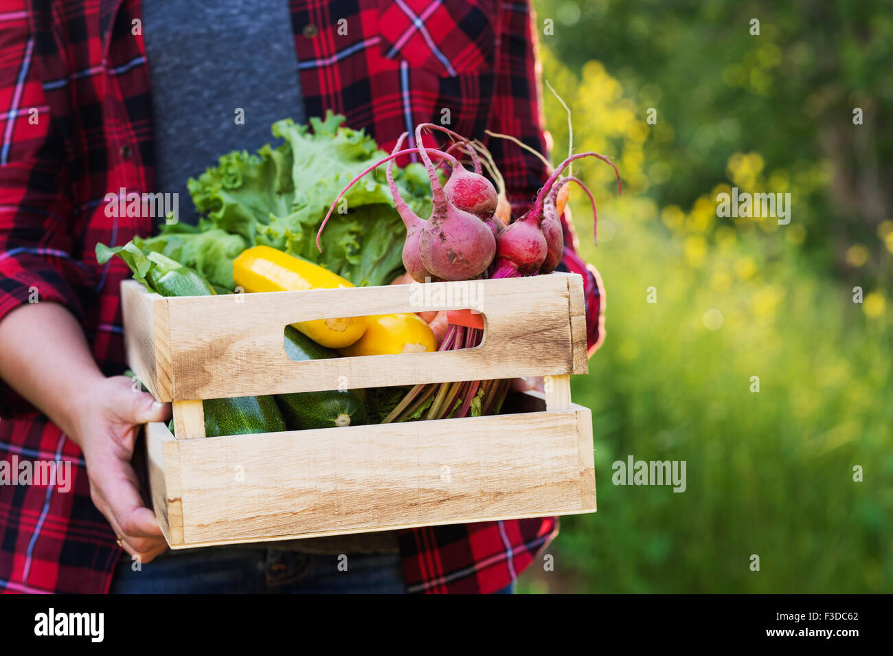 Female farmer carrying crate with vegetables Stock Photo - Alamy